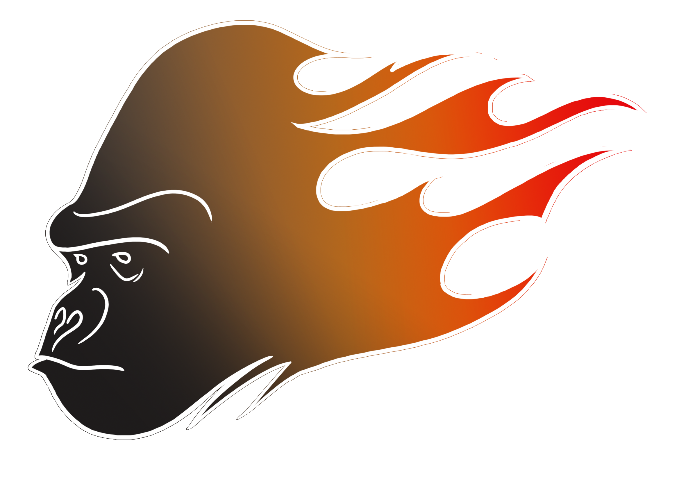 PROMOTIONAL – Fire Apes F.D.